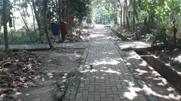 Mengintip Rimbunnya Hutan Kota Pondok Labu dengan Ratusan Jenis Pohon ...