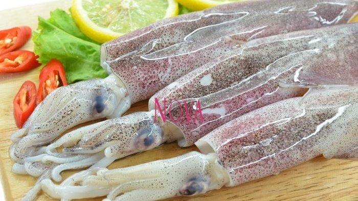 Cara Memilih Cumi yang Segar dan Mengolahnya agar Tak Alot, Berikut ...