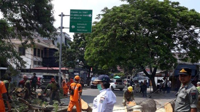 Tebet Timur Termasuk Tertinggi Aduan Warga, Paling Banyak Kebersihan ...