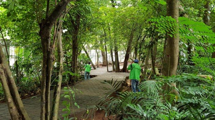 Melihat Hutan Kota Cijantung, Kunci Keberhasilan Jakarta Timur Raih ...