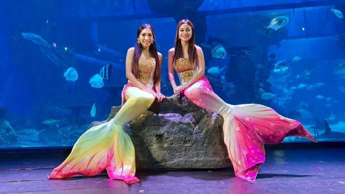 Ada Putri Duyung yang Cantik dan Jago Akting Dalam Air di Jakarta ...