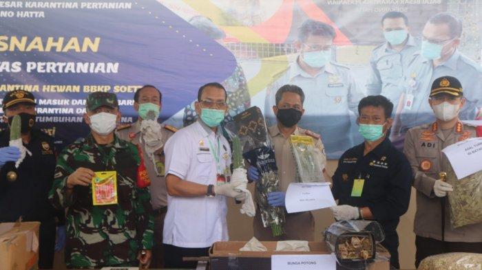 Cegah Bioterorisme, Ribuan Komoditas Pertanian Dari Luar Negeri Dibakar ...