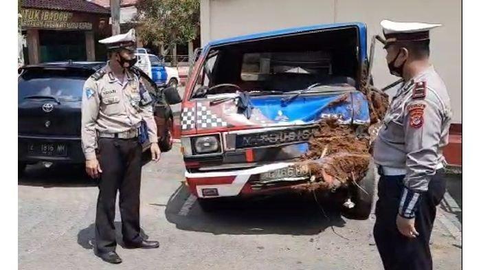 Kecelakaan Maut Tewaskan 3 Pemburu Babi Hutan, Sopir Pikap Beri Pengakuan - Tribunjakarta.com