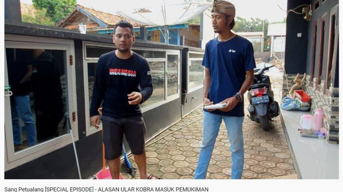 Marak Kasus Kobra di Pemukiman, Panji Petualang Beri Cara Sederhana Cegah Ular Masuk ke Rumah ...