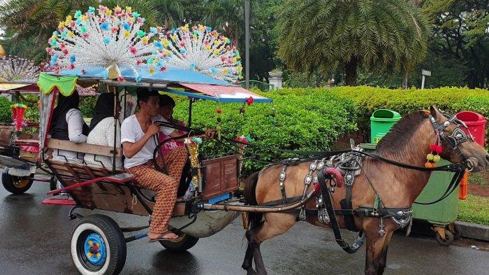 Delman di Monas Hanya Boleh Beroperasi Sabtu-Minggu, Heru Budi ...