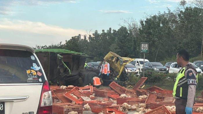 Ratusan Ekor Ayam Tergeletak Penuhi Tol Cipali, Kecelakaan Truk Vs Bus Primajasa di KM 93 ...