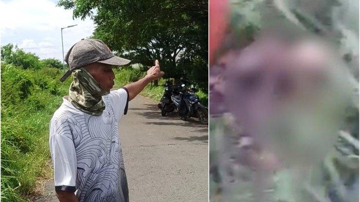 Tes DNA Kerangka Wanita di Rorotan Belum Rampung, Keluarga Sari Indah ...