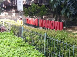 Sering Jadi Tempat Kumpul Malam Hari, Taman Mahoni Kini Sering ...