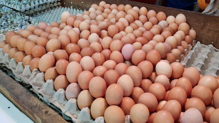 Lebih Baik Makan Telur Cangkang Cokelat atau Putih? Yuk Simak ...