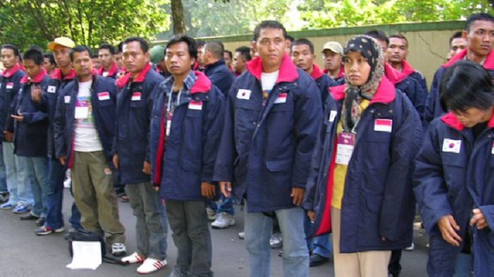 Kisah TKI di Korea, Berpenghasilan hingga Rp 30 Juta per Bulan Tapi ...