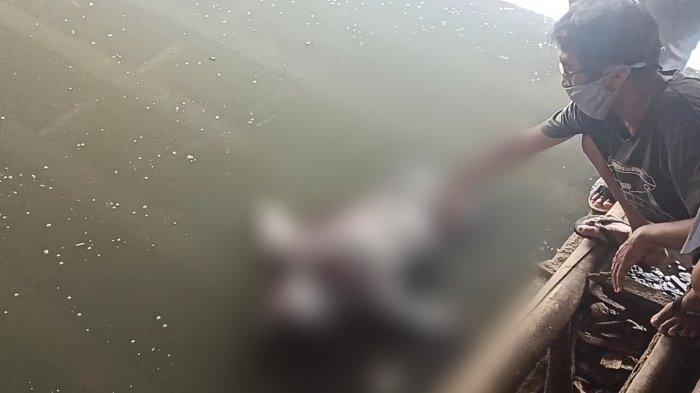 Cium Bau Busuk Dikira Bangkai Tikus, Petugas SDA Kaget Sosok Ini Ngambang di Kali Wilayah Ancol ...