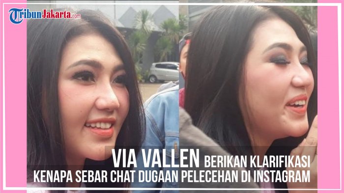 Via Vallen Berikan Klarifikasi Kenapa Sebar Chat Dugaan Pelecehan di Instagram - Tribunjakarta.com