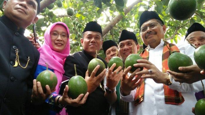 Resmi Jadi Kampung Alpukat, Cipedak Kini Direncanakan Masuk ...