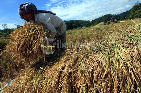 Syarat Menerima Penghapusan Utang Bagi Petani, Nelayan dan UMKM, Bisa ...