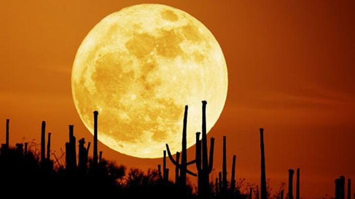 Malam Nisfu Syaban, Ini Bacaan Doa yang Dianjurkan Diamalkan ...