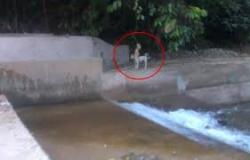 Orang Pandak, Mitos yang Melegenda di Balik Keindahan Danau Gunung 7 ...