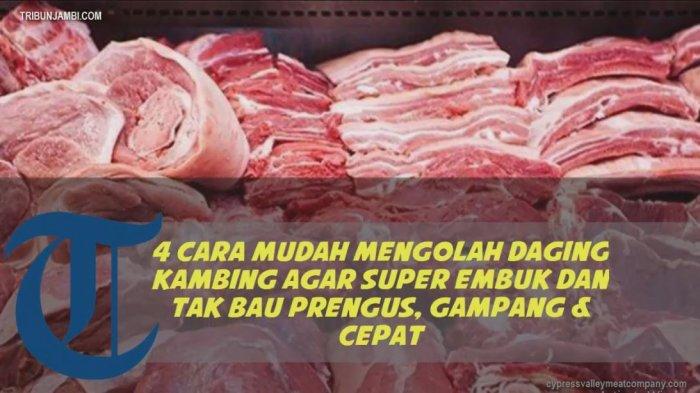 VIDEO: 4 Cara Mudah dan Cepat Mengolah Daging Kambing Agar Super Embuk ...