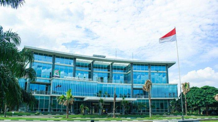 Produksi TBS PTPN VI Tahun 2023 Meroket - Tribunjambi.com
