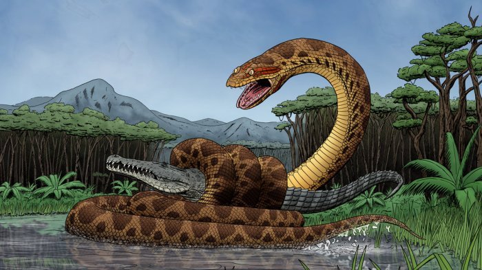 Bukan Hanya Mitos, Ternyata Ular Raksasa Memang Pernah Ada dan Hidup di ...