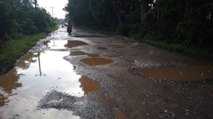 Akses Jalan dari Desa Setiris ke Jambi Kecil Muarojambi Banyak Lobang ...