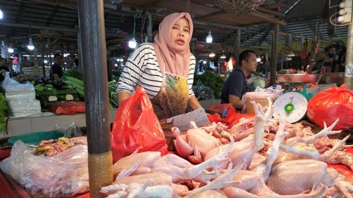 Harga Ayam Broiler Rp 23-30 Ribu per Kg di Pasar Angso Duo Baru Kota ...