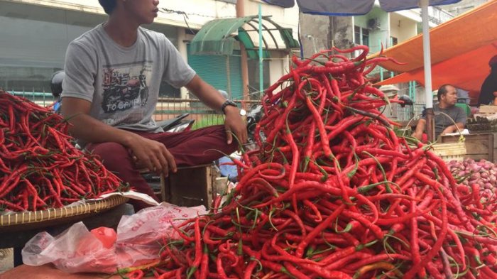 Harga Cabai di Pasar Angso Duo dan Talang Banjar Melonjak jadi Rp 70 Ribu, Ini Penyebabnya ...