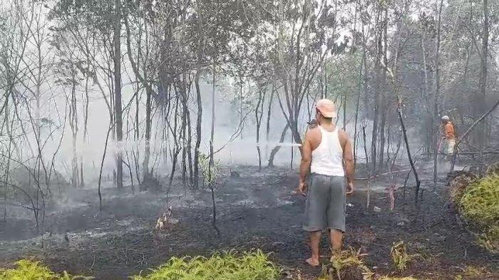 Kebakaran Lahan di Belakang Stadion Tebo, Penyebabnya Sedang Diselidiki ...
