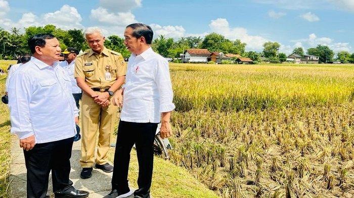 Jokowi Disebut Arahkan Dukungan ke Prabowo Subianto Pilpres 2024, Pengamat Ungkap Faktor ...
