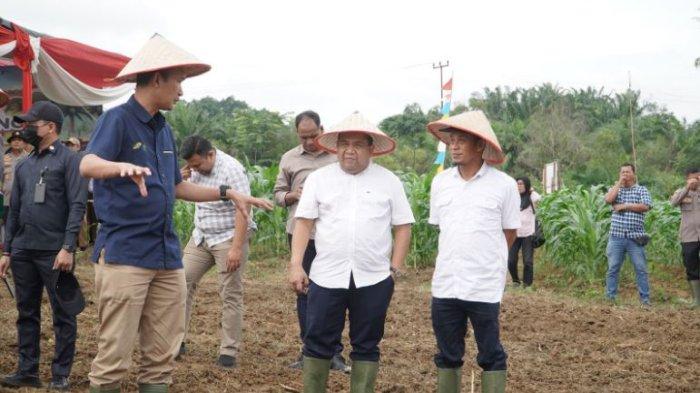 PTPN IV Regional 4 dan Polda Jambi Tanam Jagung Bersama, Dukung Program Swasembada Pangan ...