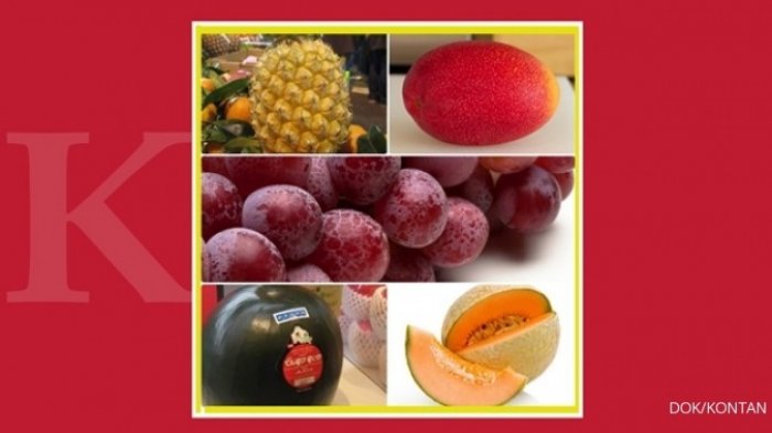 Inilah Pentingnya Makan Sayur dan Buah Setiap Hari - Tribunjambi.com