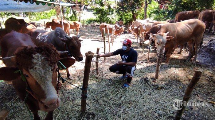 Idul Adha 2020 Sebentar Lagi, Begini Panduan Berkurban hingga Tata Cara ...