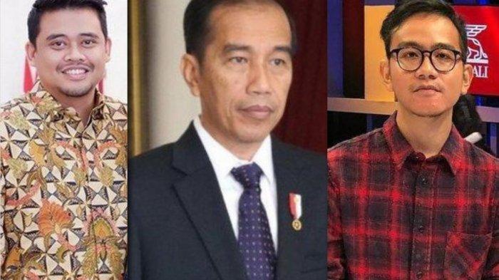 Menantunya Ikut Bangun Dinasti Politik Keluarga Presiden? Bobby Nasution: 'Mungkin Motivasinya ...