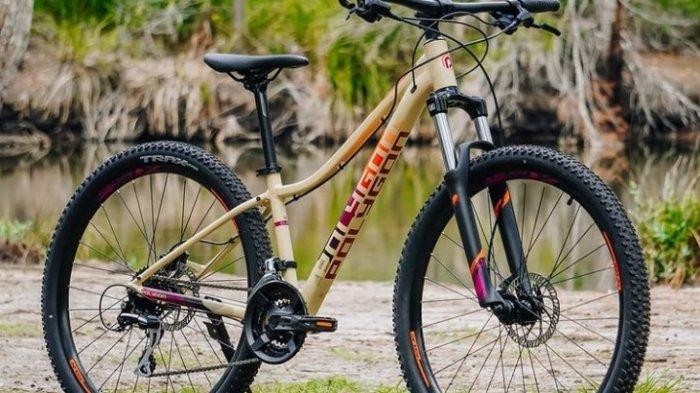Harga Sepeda Polygon Cleo 2 Terbaru, Sepeda Kaum Hawa Tapi Tangguh ...