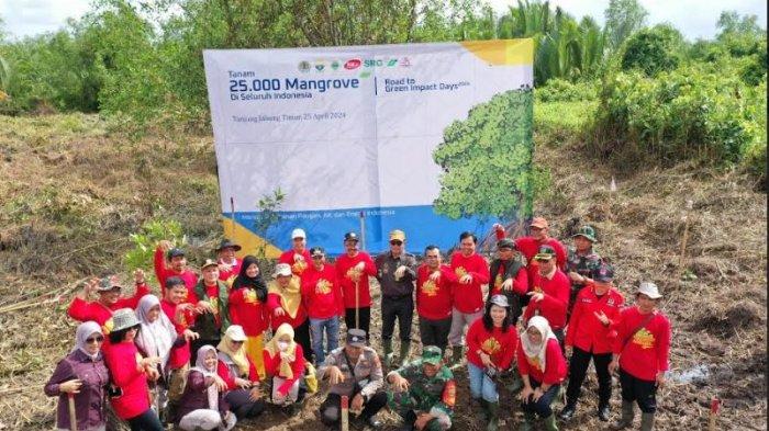 BPDAS Batanghari Ikut Serta Dalam Penanaman Mangrove Bersama KLHK ...