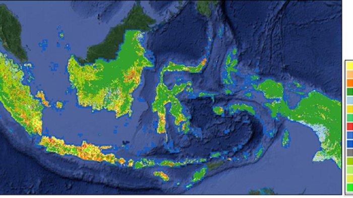 BPS Perbarui Wilkerstat ST2023 Dengan Pencitraan Satelit - Tribunjambi.com