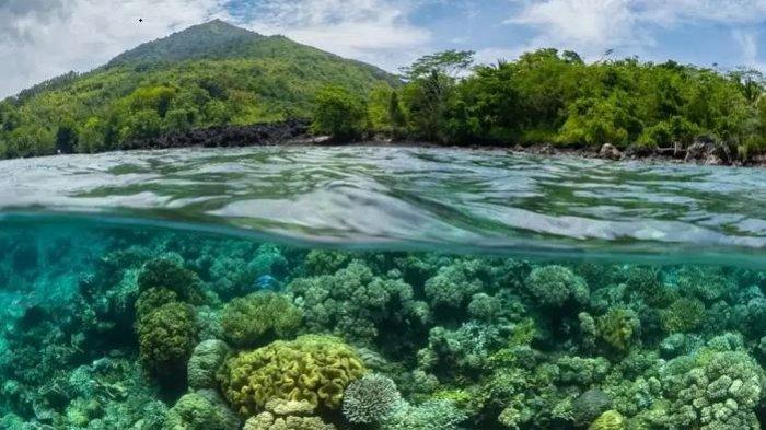 Mengenal Banda Neira, Sempat Trending di Twitter - Halaman all ...