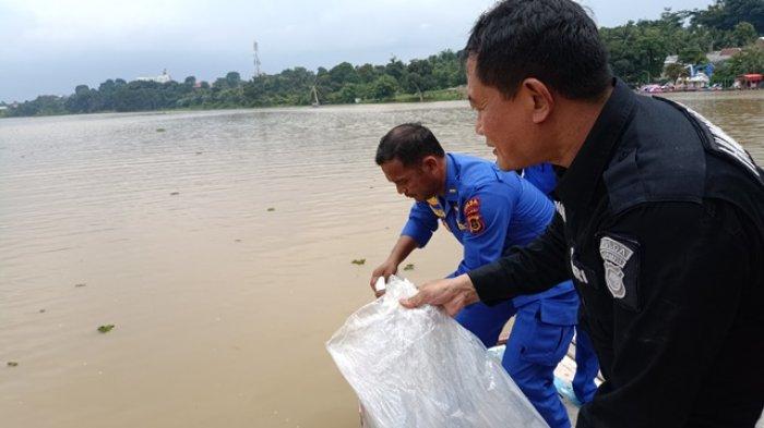 Ditpolairud Polda Jambi Lepas 10 Ribu Benih Ikan Nilam di Danau Sipin ...