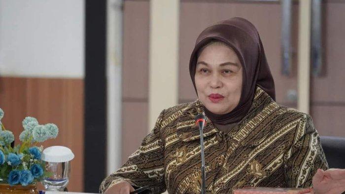 Elviana Belum Kepikiran Berpasangan dengan Romi Hariyanto di Pilgub ...