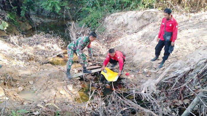 Helikopter Water Bombing Patroli di Tebo, BPBD Nyatakan Sempat Ada Titik Api - Tribunjambi.com