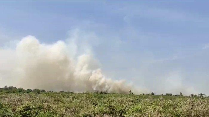 Kebakaran Hutan Jalur Pendakian Gunung Lawu Ditutup Sementara