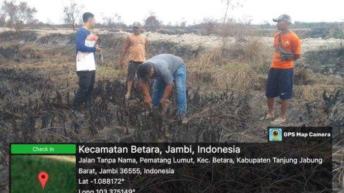 Karhutla Diduga di Kawasan PT Artha Mulia Mandiri Jadi atensi ...