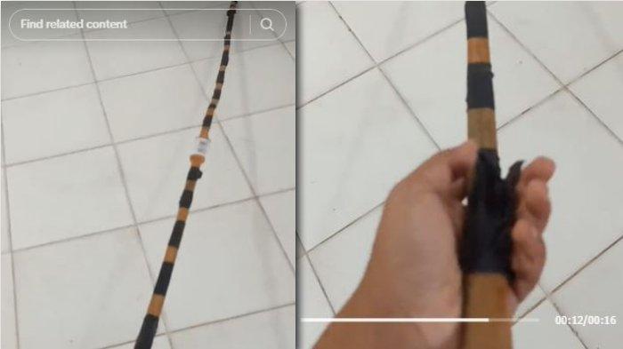 Viral Kurir Ngomel-ngomel Lantaran Ngantar Bambu Panjang: Aya Aya Bae - Tribunjambi.com