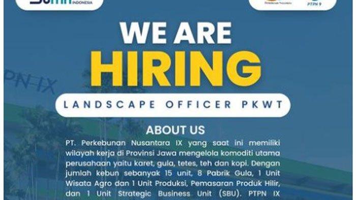 Lowongan Kerja PTPN IX untuk Lulusan S1, Simak Persyaratannya ...