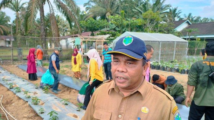 Tekan Inflasi, KWT Desa Sengkati Mudo Batanghari Lakukan Penanaman ...