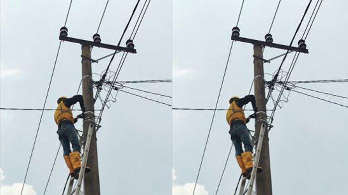 PLN Icon Plus SBU Sumbagsel Menata Kabel di Tiang PLN pada Program P3AK November - Tribunjambi.com