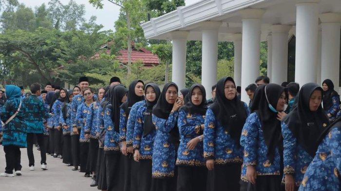 Cara Cek Formasi Pppk 2024 Periode 1 Khusus Guru Bidan Eks Honorer K