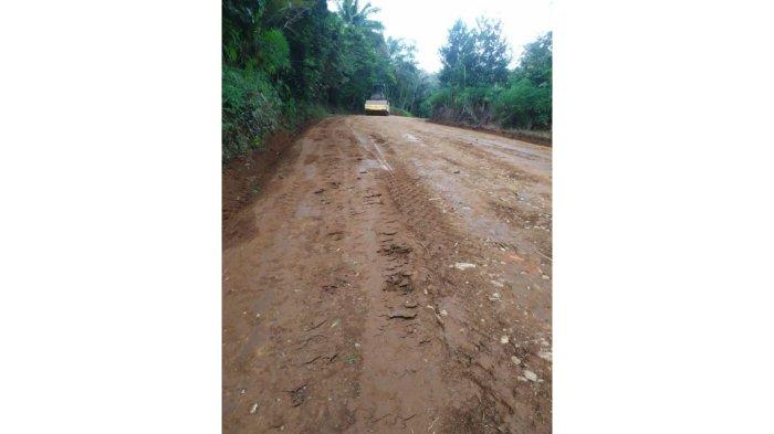 PTPN VI Perbaiki Jalan Desa Sepanjang 3,5 Kilometer di Rimbo Bujang ...