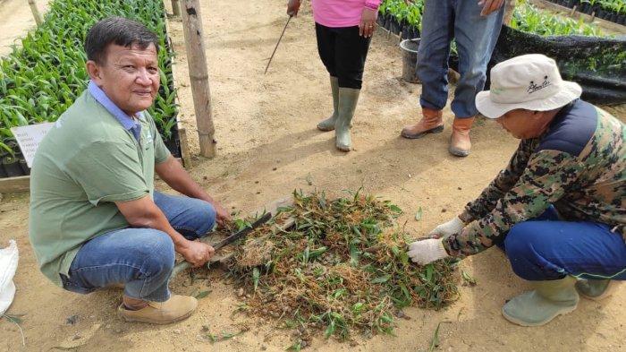 Peduli Warga, Mengenal Unit Usaha Rimbo Dua PTPN VI - Tribunjambi.com
