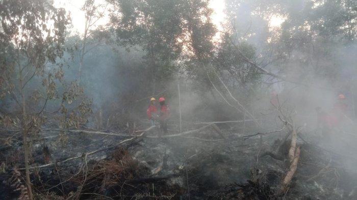 Polisi Amankan Pelaku Pembakaran Hutan di Desa Margo Tanjabbar - Tribunjambi.com