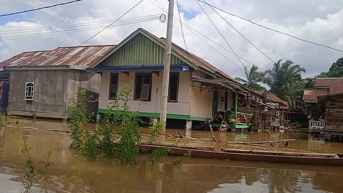 Warga Memilih Bertahan di Rumah Panggung Meski Banjir Setinggi 2 Meter - Tribunjambi.com